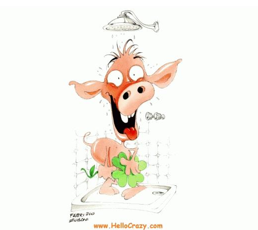 tarjeta virtuale | Tarjetas divertidas animadas - gratis | OhMyGoodness ...