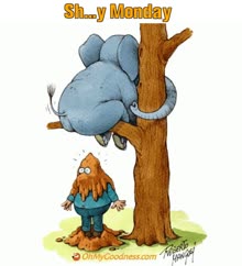 Happy Monday Funny Ecards