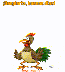 Gif De Bromas Divertidas La Revolución De Los GIF: La Broma Viral Que