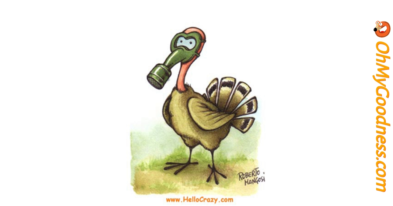 I hate the smell of stuffed Turkey! - meme | meme generator