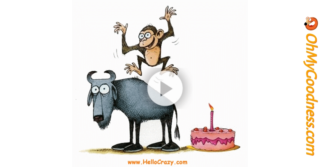 Funny Ecards Cards Free Greeting Cards Animated And Musical Happy 
