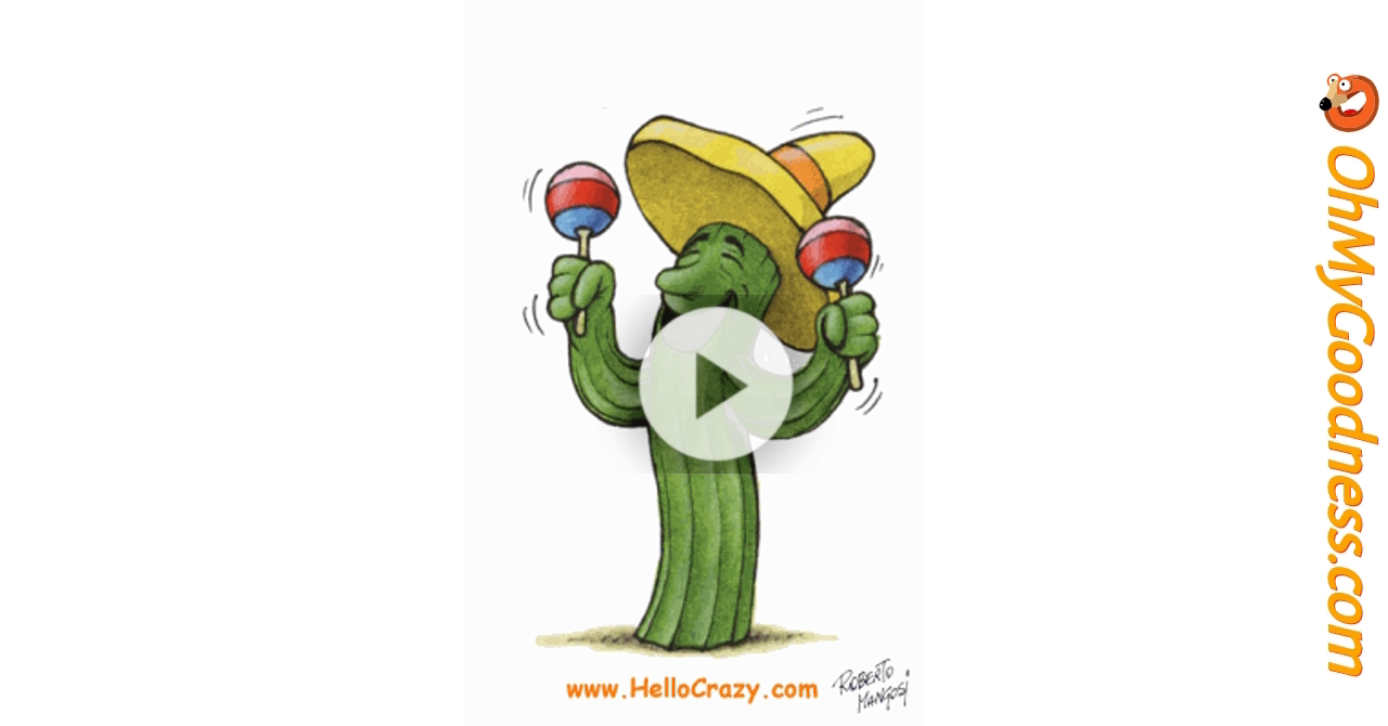 Funny Ecards - cards free, greeting cards animated and musical ...