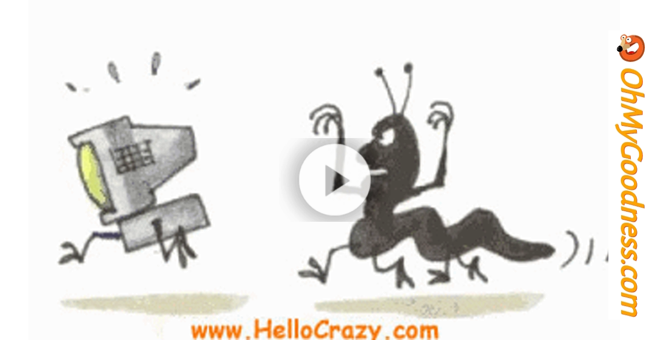 Escaping the bug - meme | meme generator