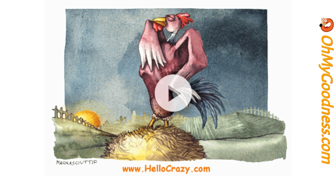 Happy Year of the Rooster - meme | meme generator