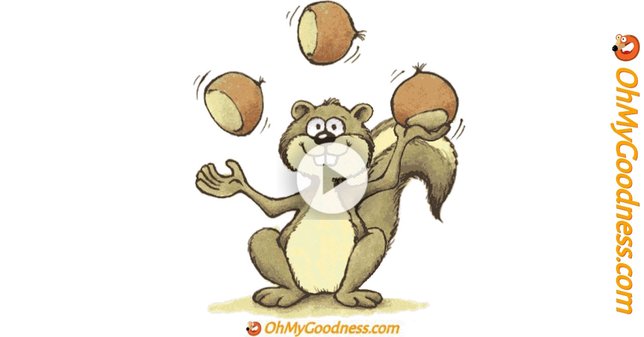 Nuts ecard | Funny Free eCards | OhMyGoodness ecards