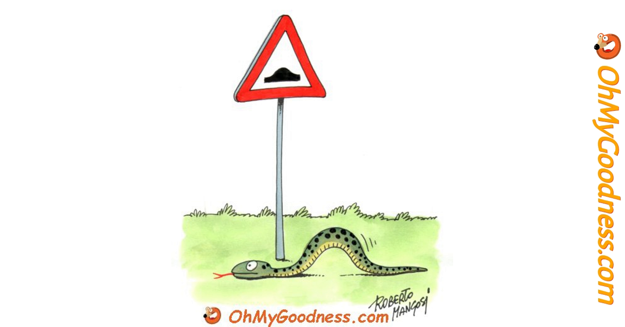 It's Hump Day! - meme | meme generator