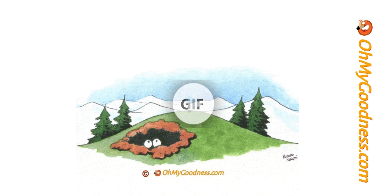 Groundhog's Shadow - meme | meme generator