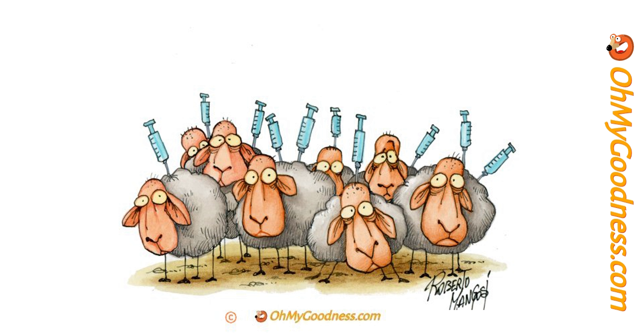 Herd Immunity... - meme | meme generator