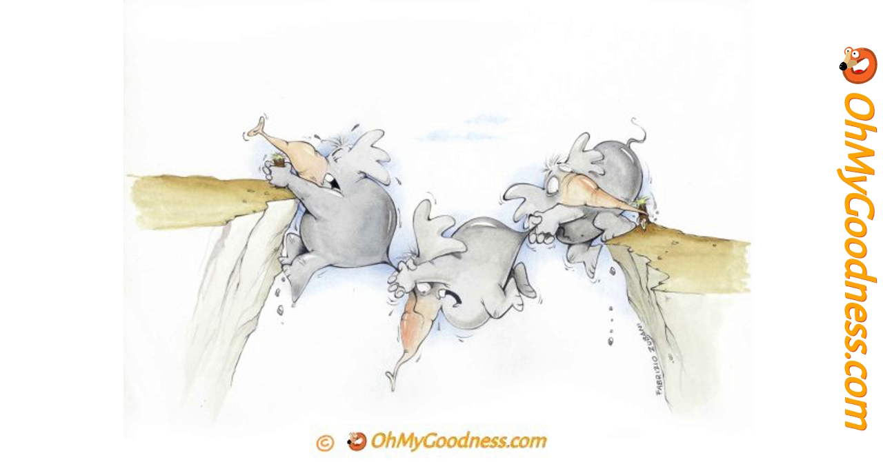 Hold on and good luck! - meme | meme generator