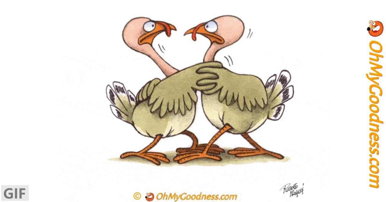 Turkeys Tango ecard | Funny Free eCards | OhMyGoodness ecards