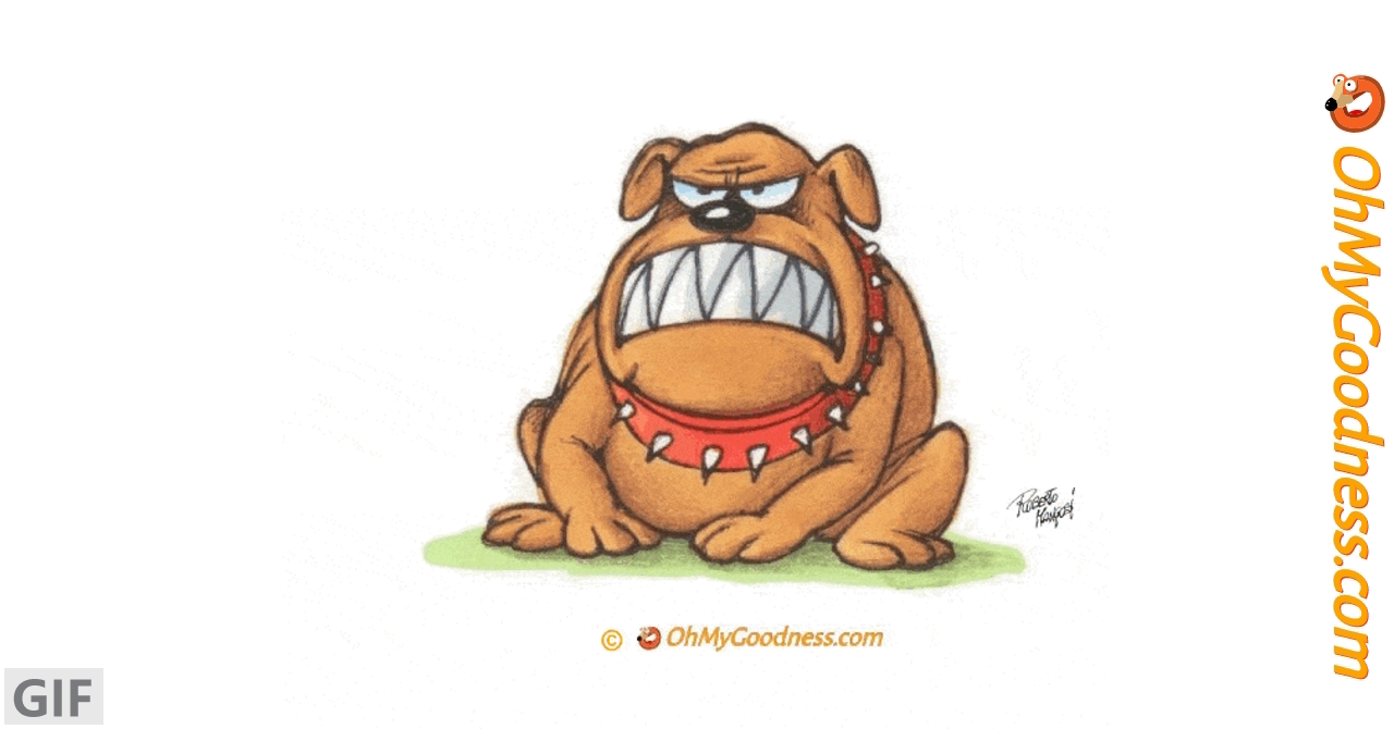 Old Dog Meme Meme Generator old-dog-meme-meme-generator