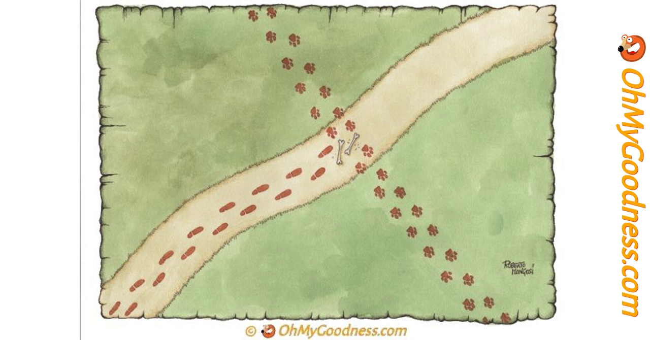 Enjoy a walk in the woods - meme | meme generator