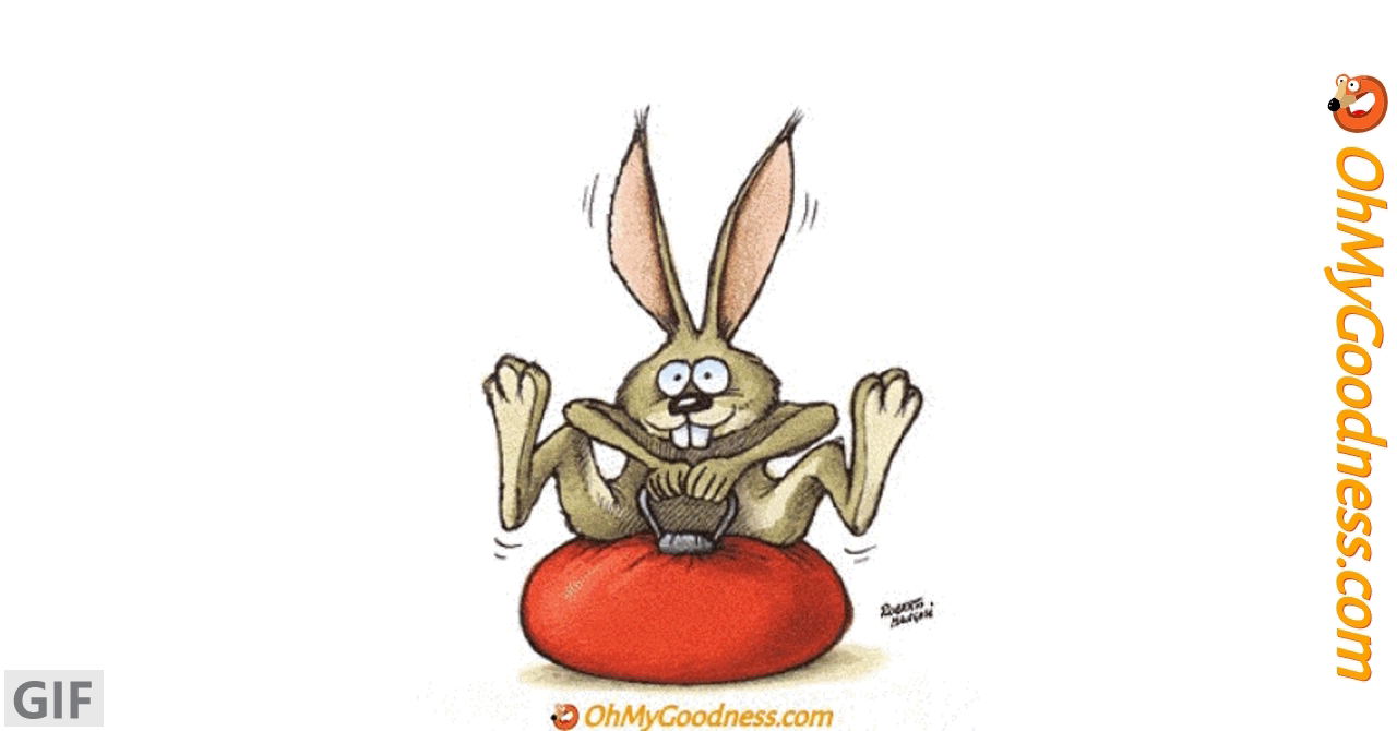 Saltando al Año del Conejo - meme | generador memes