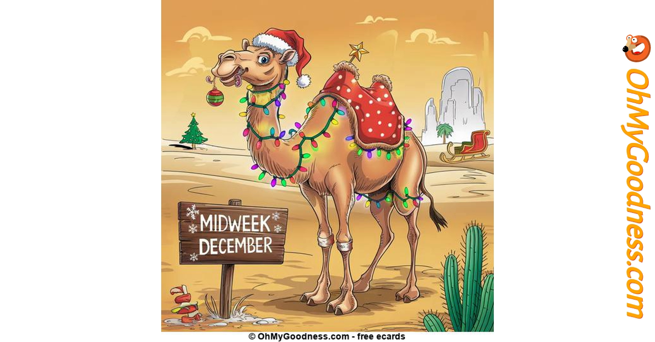 December Wednesday ecard | Funny Free eCards | OhMyGoodness ecards
