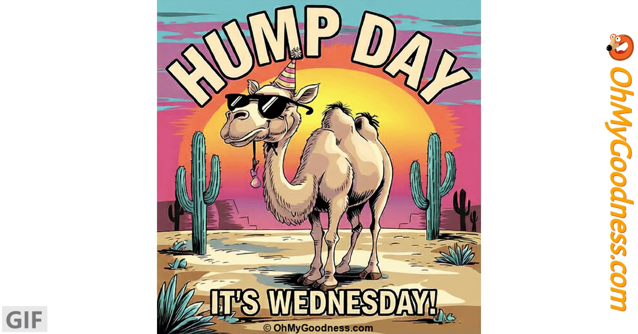 Happy Wednesday! ecard | Funny Free eCards | OhMyGoodness ecards